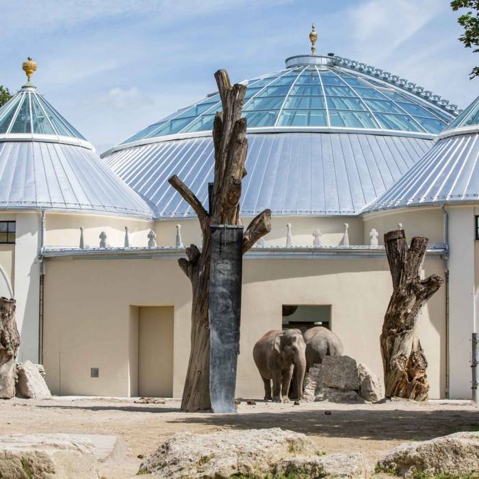 Tierpark Hellabrunn: Alle Infos zum Zoo in München