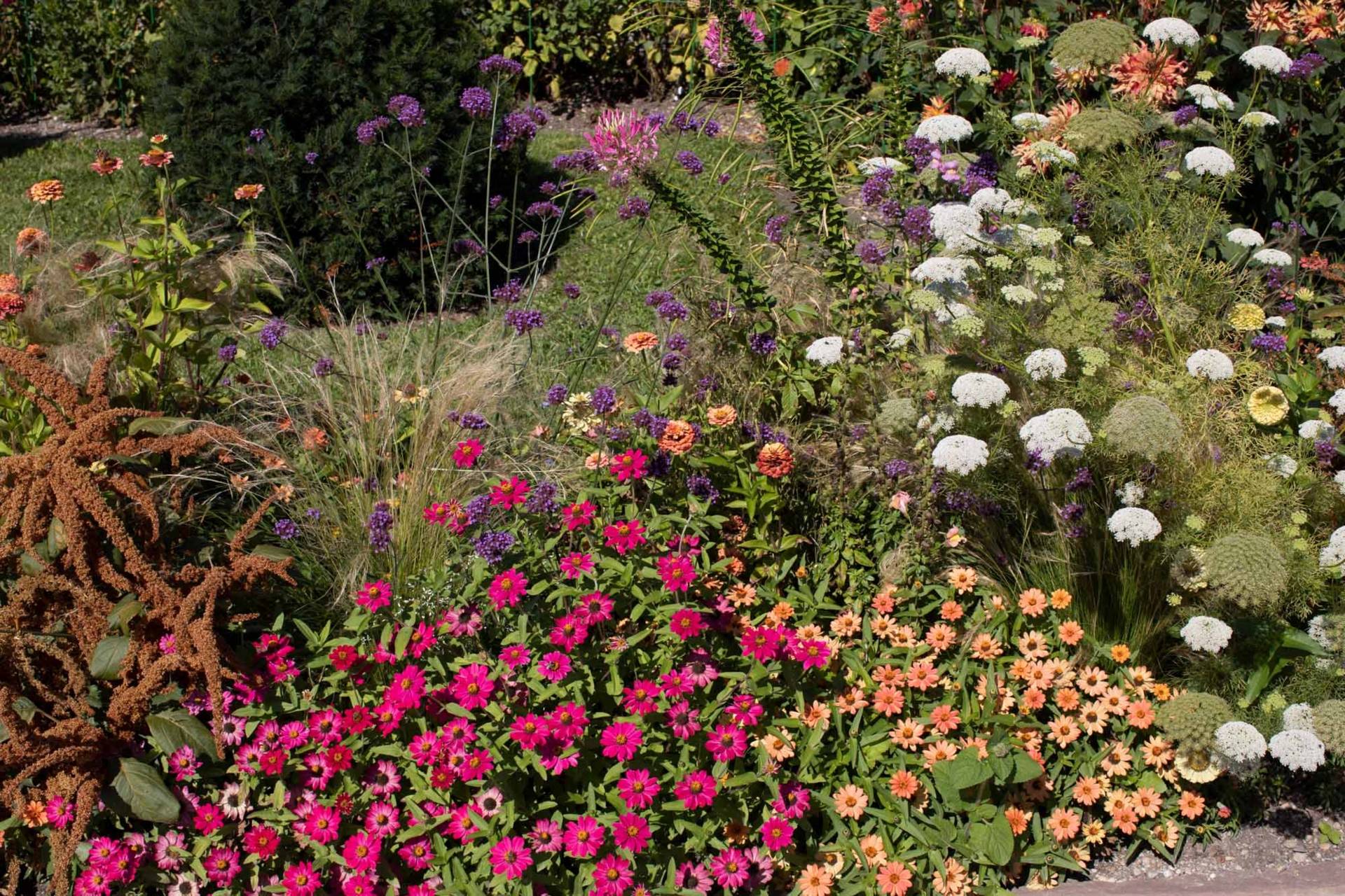 Botanischer Garten: Interview mit Christine Bernhauser | einfach München