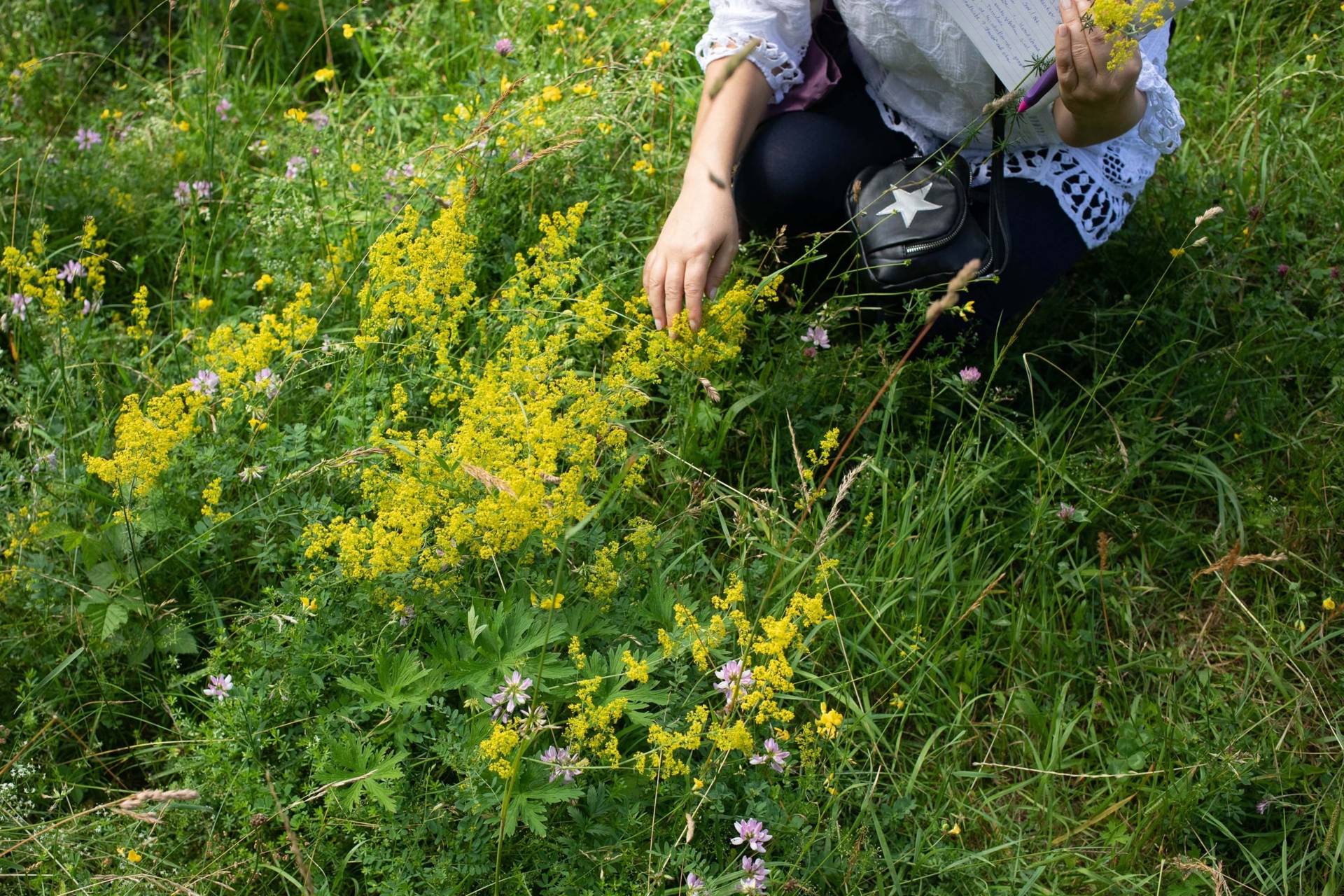 Wild herb trail on the Isar river | simply Munich