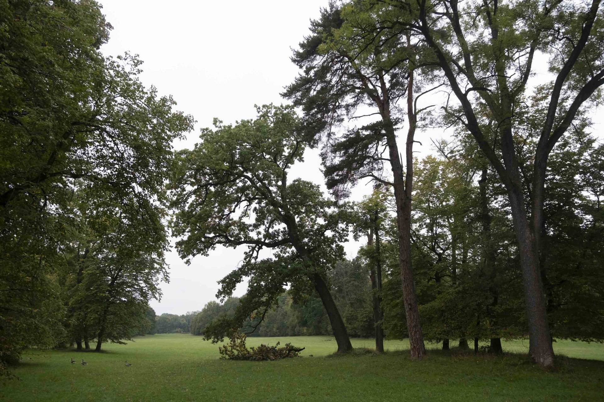 Munich authors show off their city: Lea Ruckpaul | simply Munich