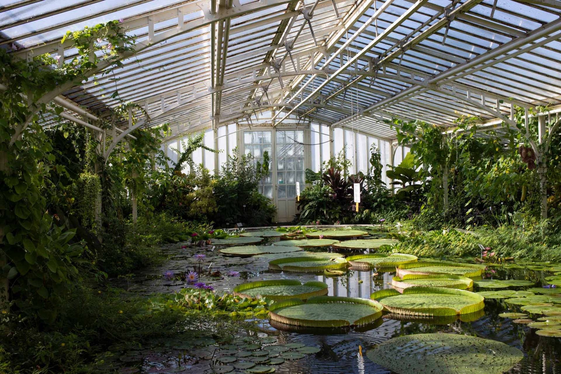 Botanical Garden: Interview with Christine Bernhauser | simply Munich