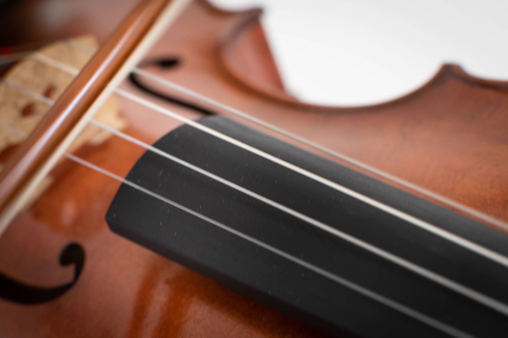 Konstantin Sellheim, viola | simply Munich