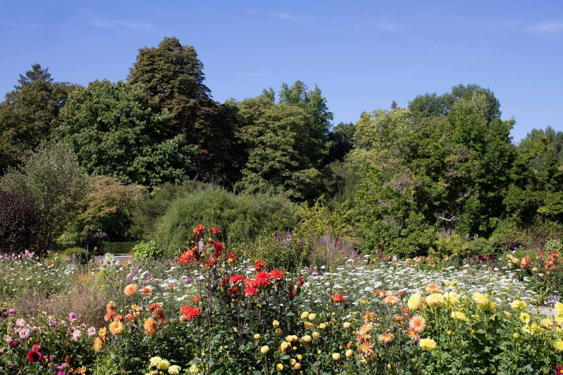 Botanischer Garten: Interview mit Christine Bernhauser | einfach München