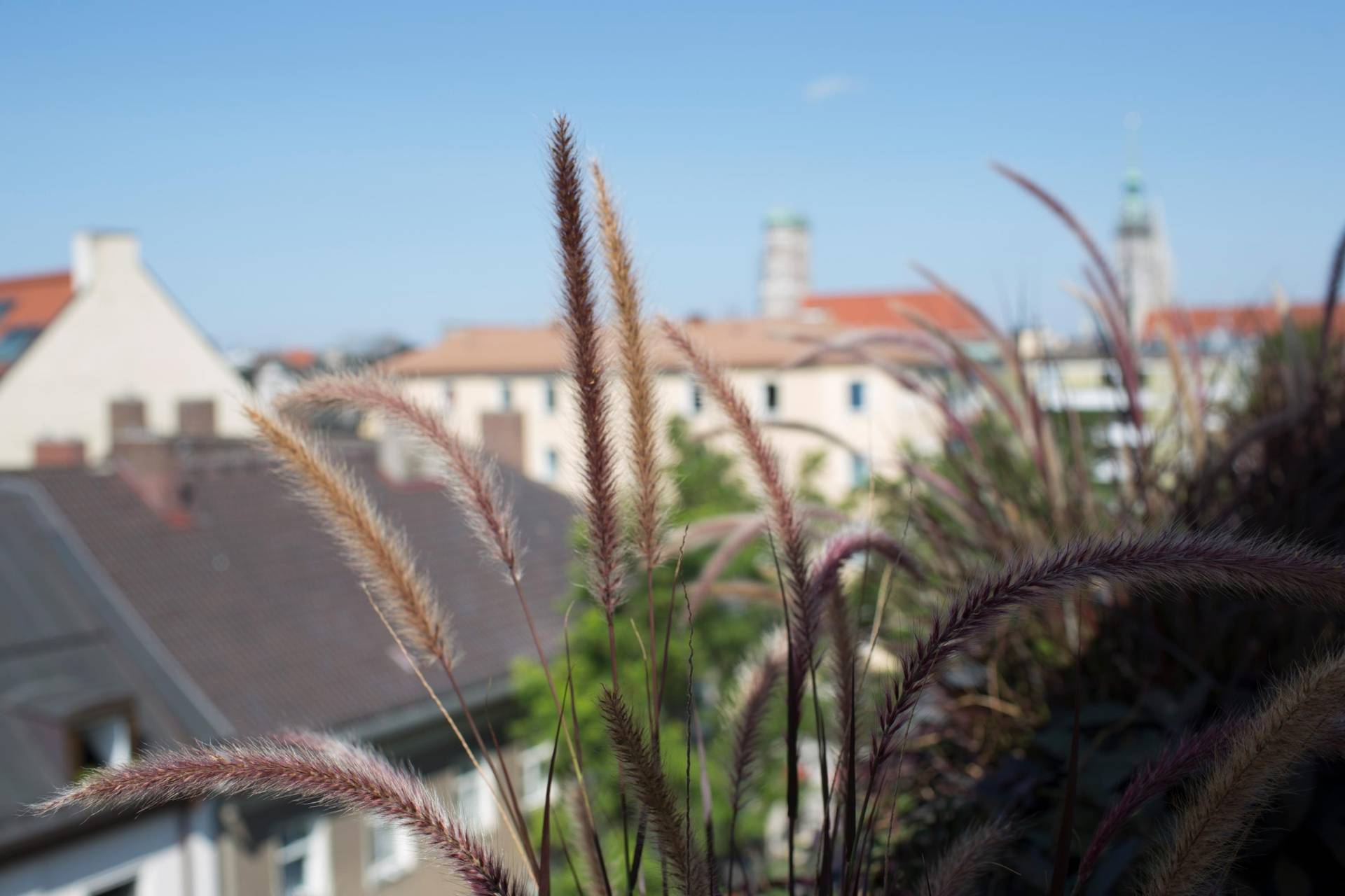 Deutsche Eiche | einfach München