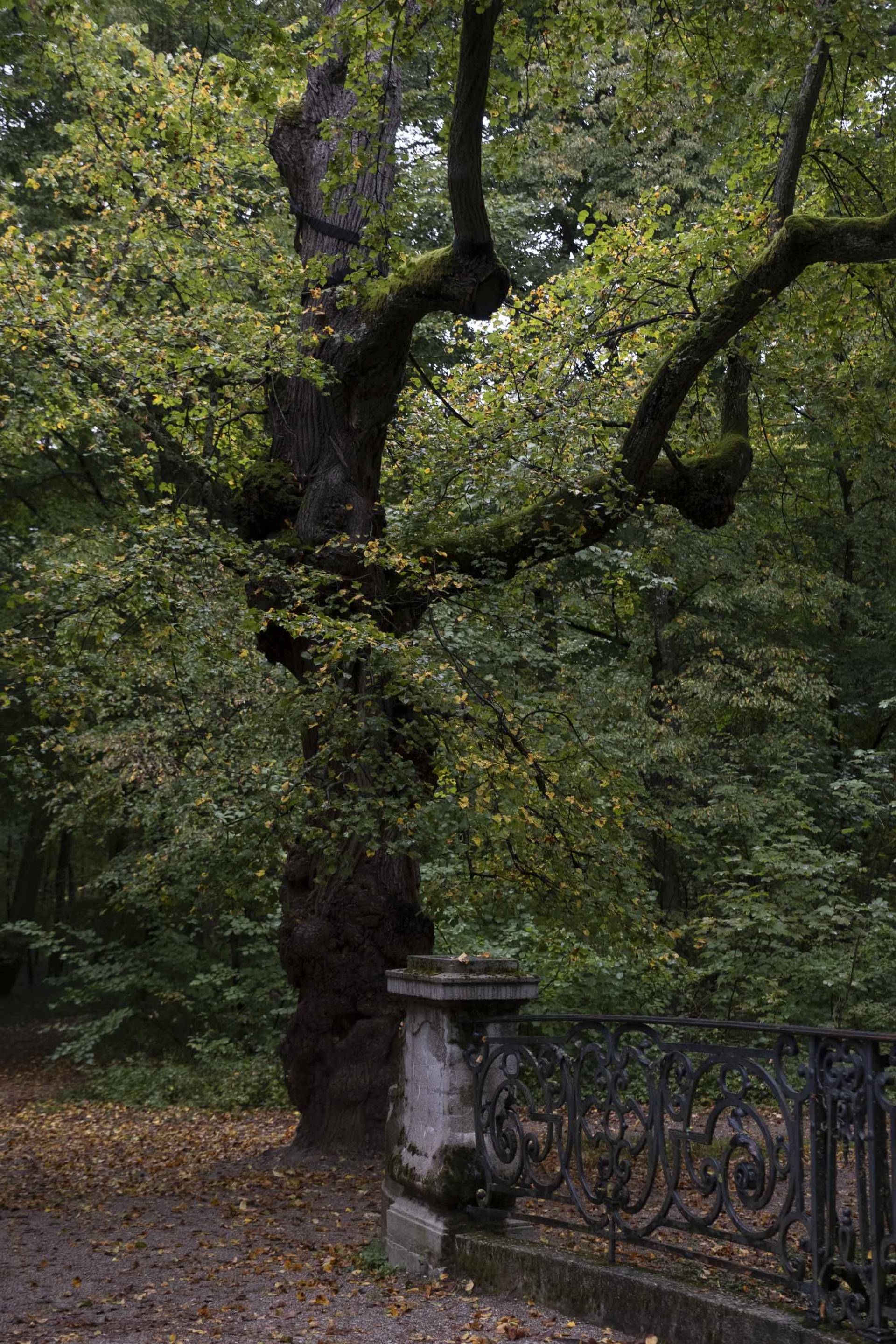 Munich authors show off their city: Lea Ruckpaul | simply Munich