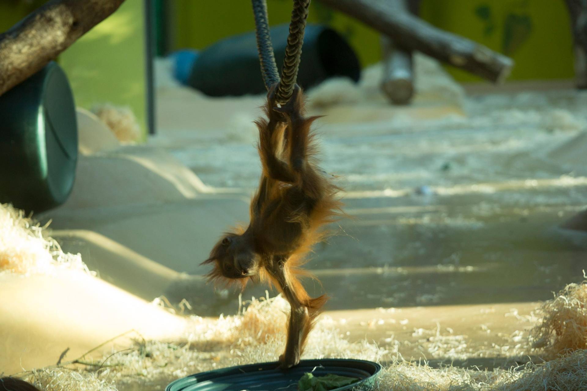 Tierpark Hellabrunn: all info about Munich zoo | simply Munich