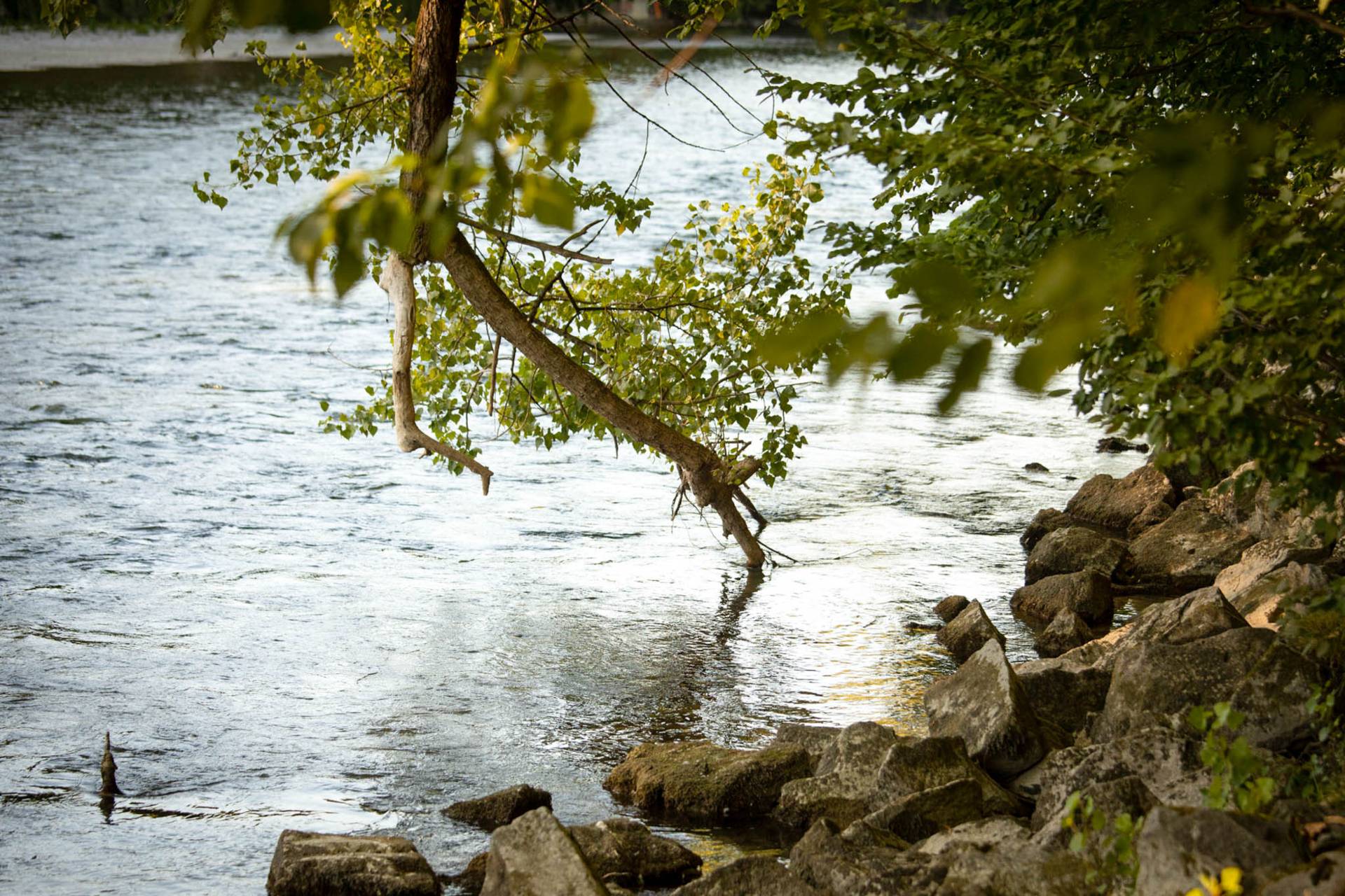 Isar: Secluded swimming spots | simply Munich