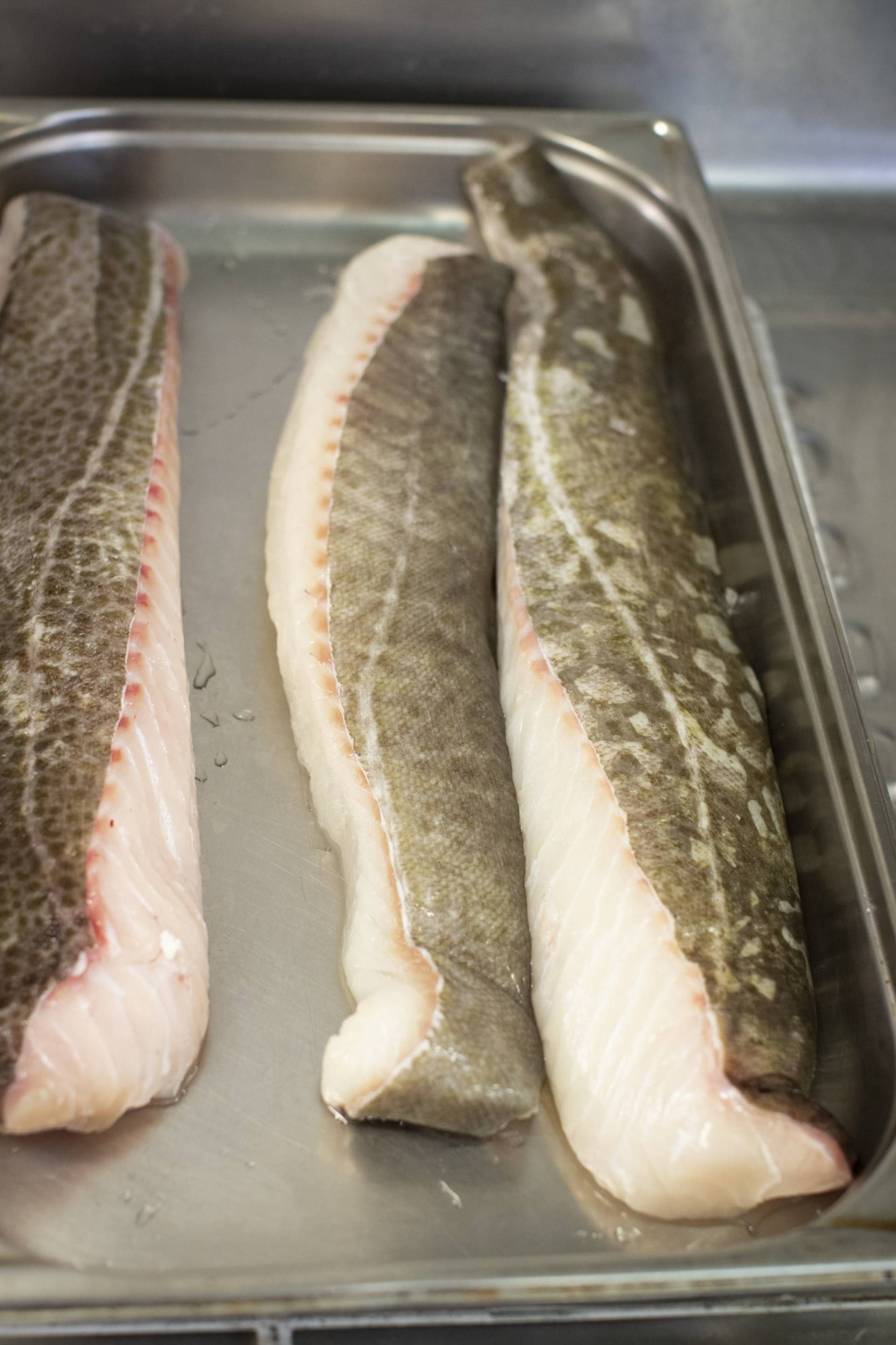 With Mario Gamba from Acquarello through Bogenhausen | simply Munich