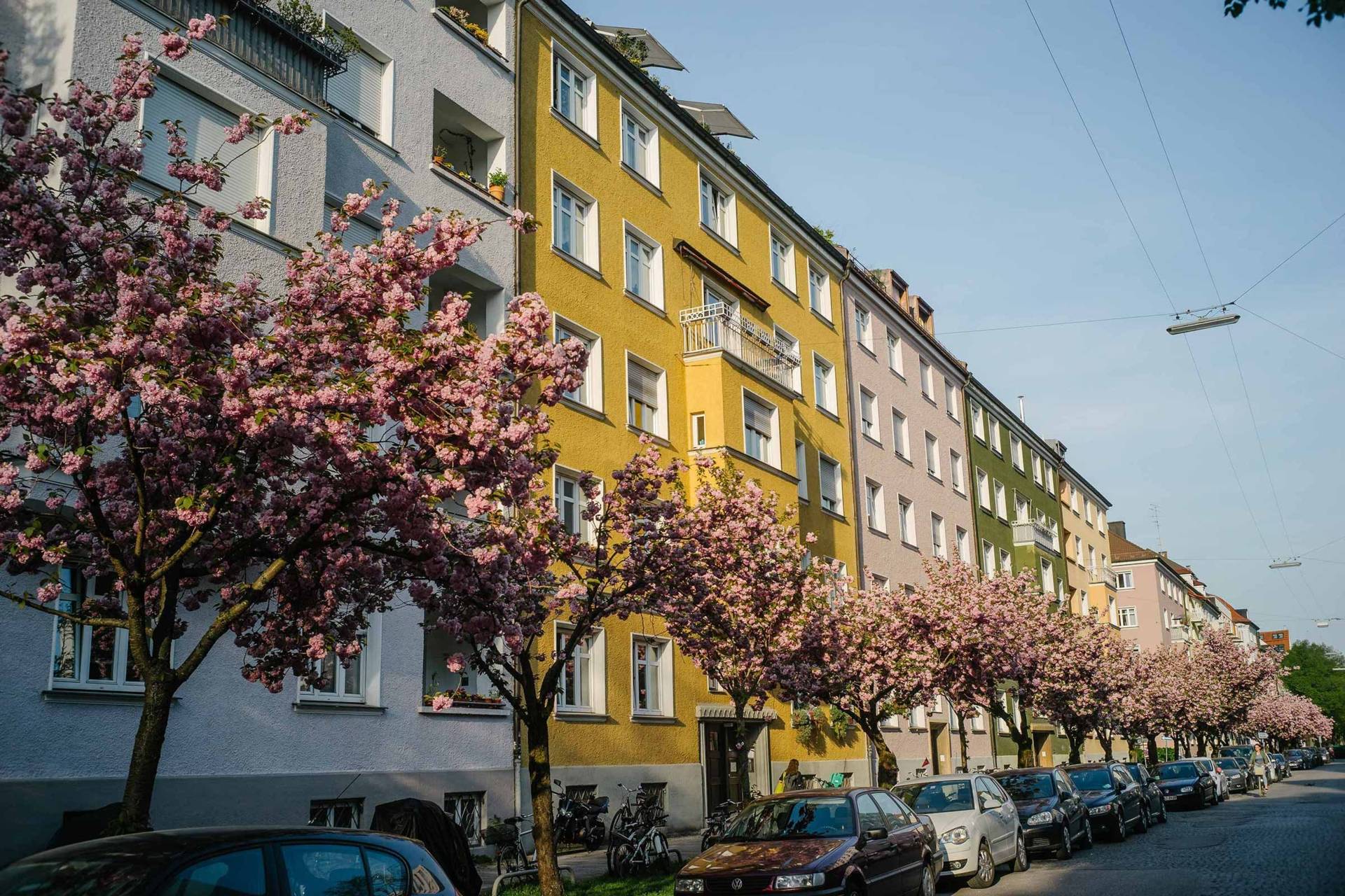 Maxvorstadt: Ein Rundgang durch das Münchner Stadtviertel