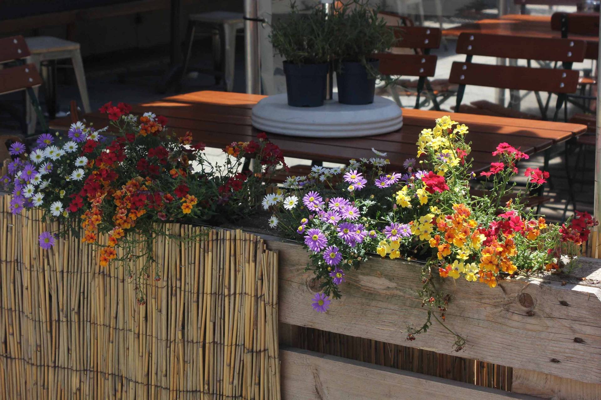 Schanigärten in München | einfach München