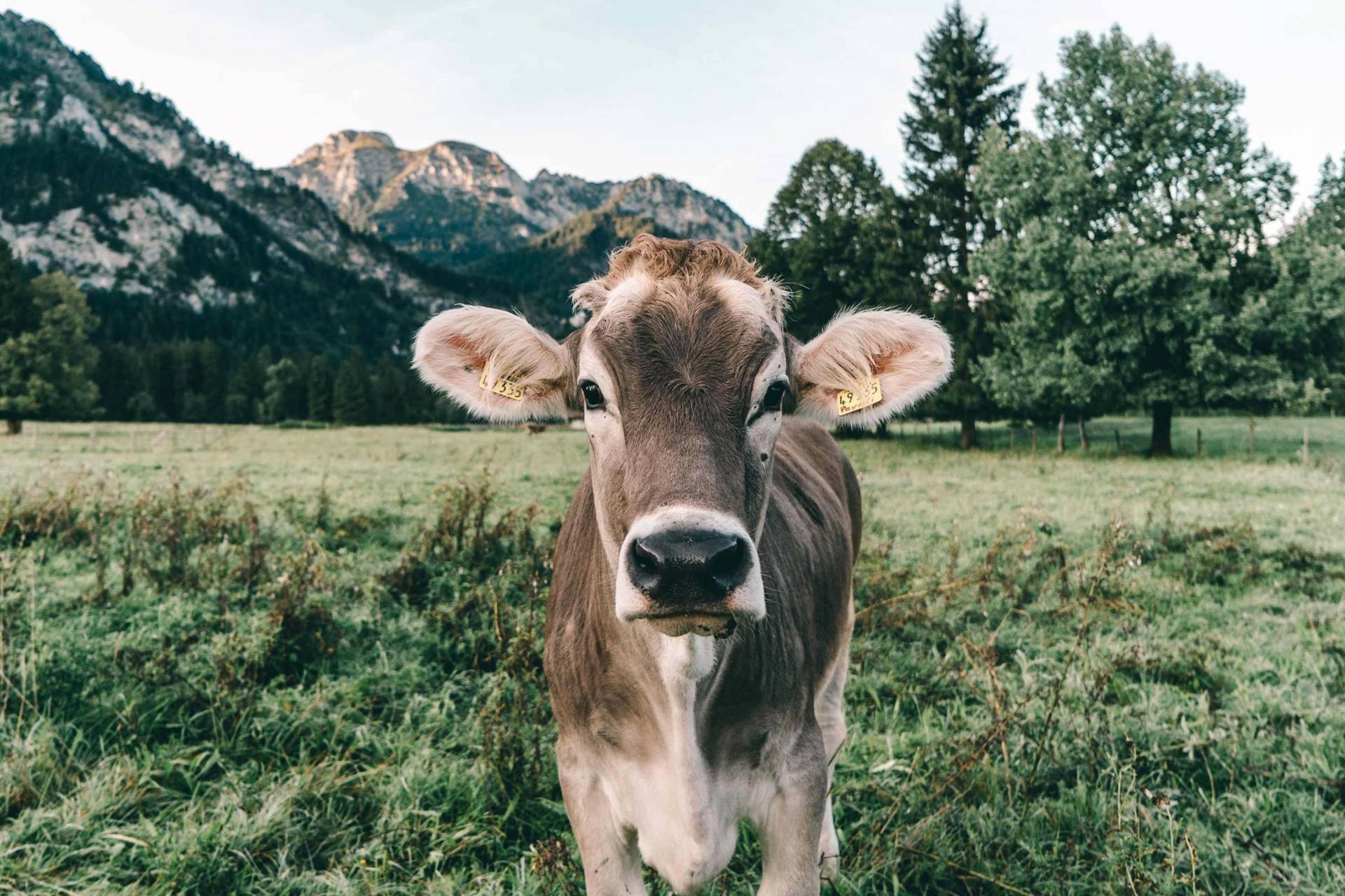 Garmisch-Partenkirchen | simply Munich