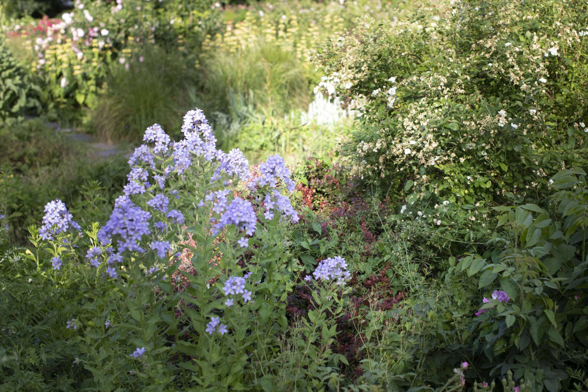A visit to Munich's Rosengarten | simply Munich