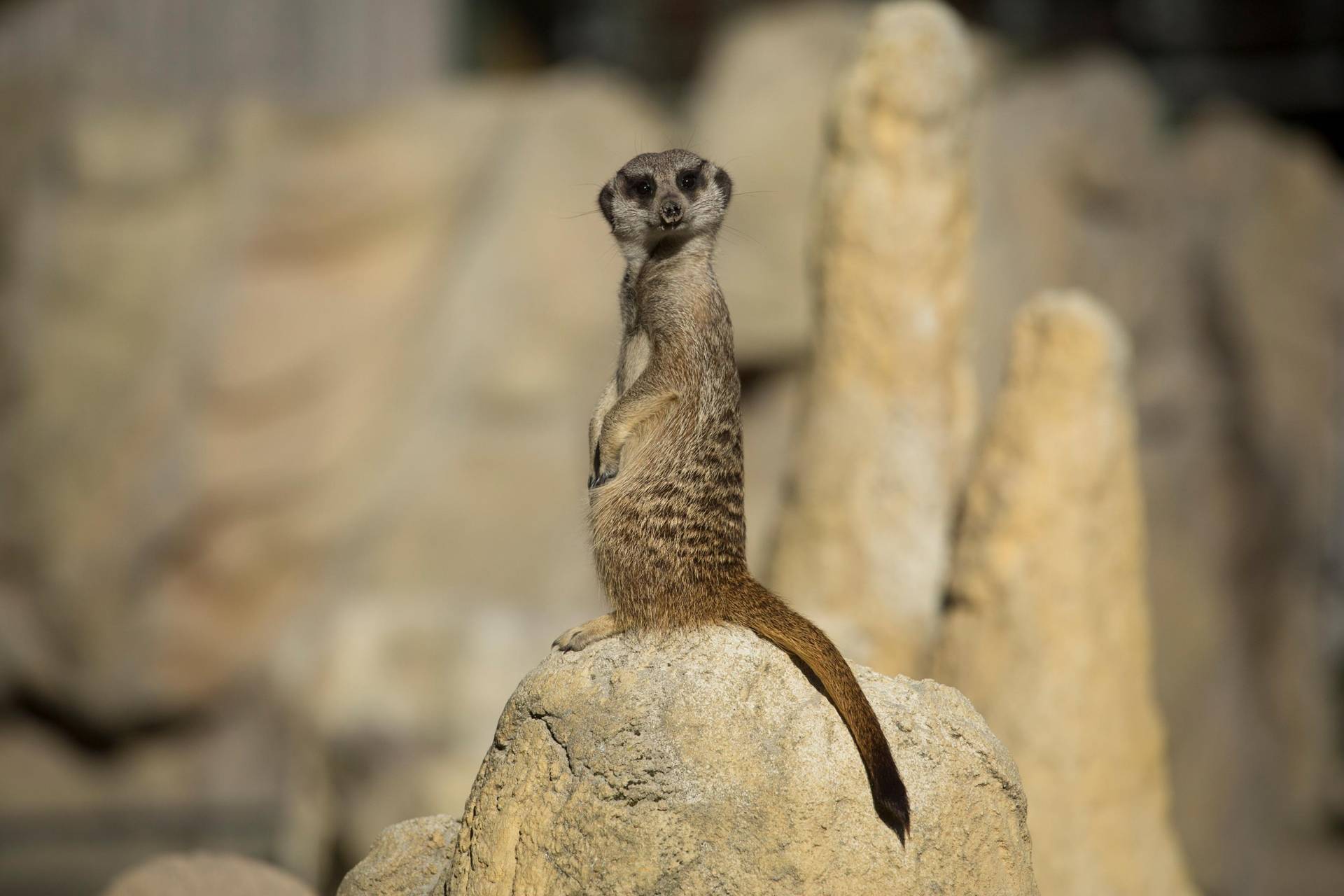 Tierpark Hellabrunn: all info about Munich zoo | simply Munich