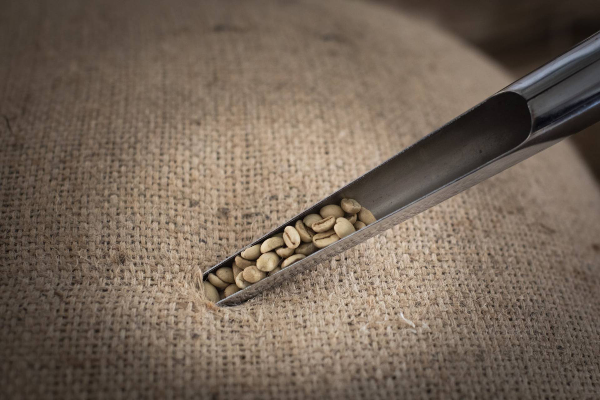 A visit to the Fausto coffee roasting house | simply Munich