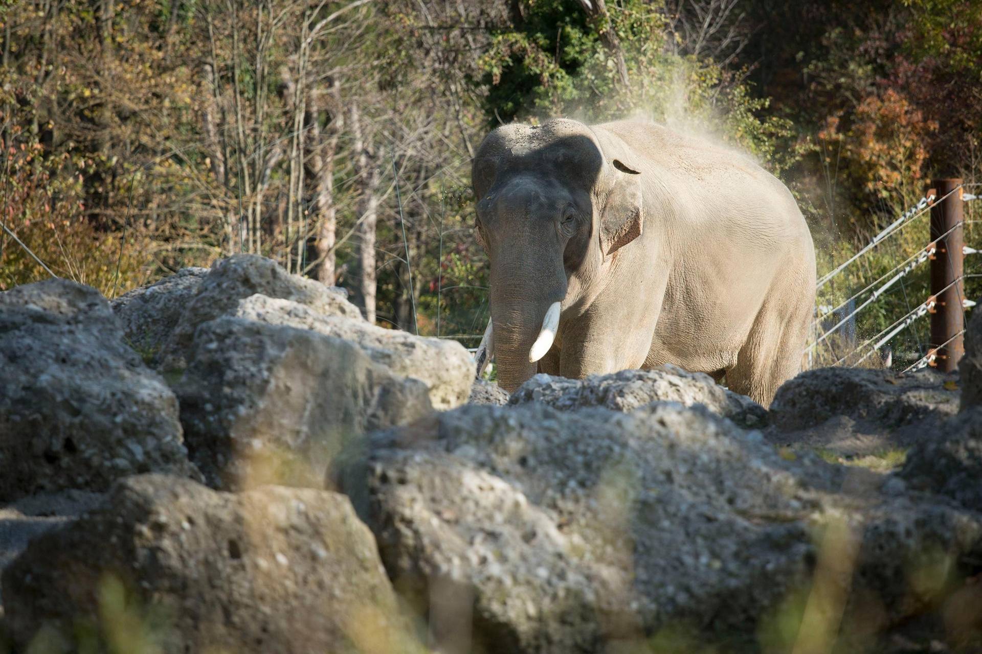 Tierpark Hellabrunn: all info about Munich zoo | simply Munich