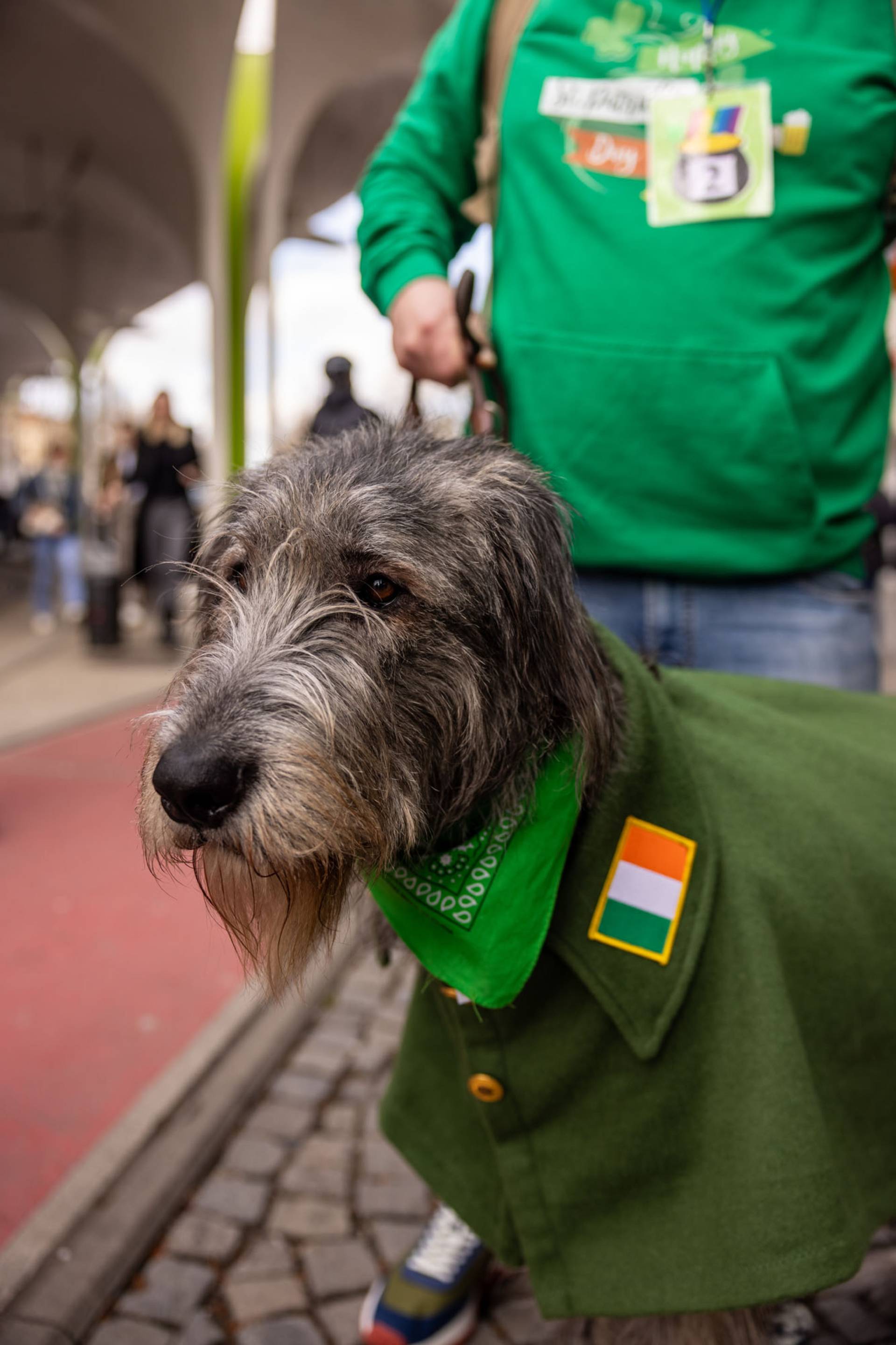 St Patrick's Day Munich | simply Munich
